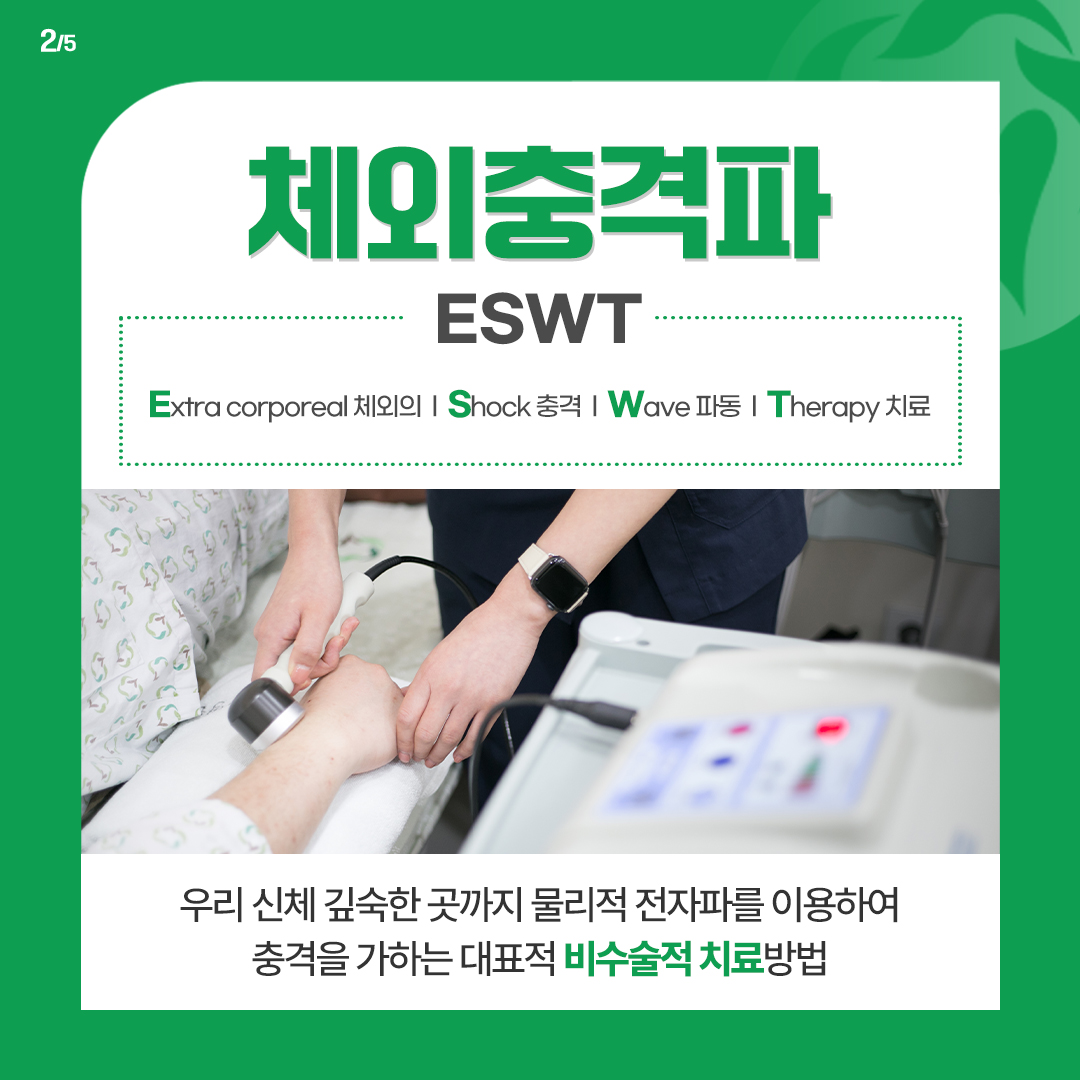 서울 강서구 서울큰나무병원 소식