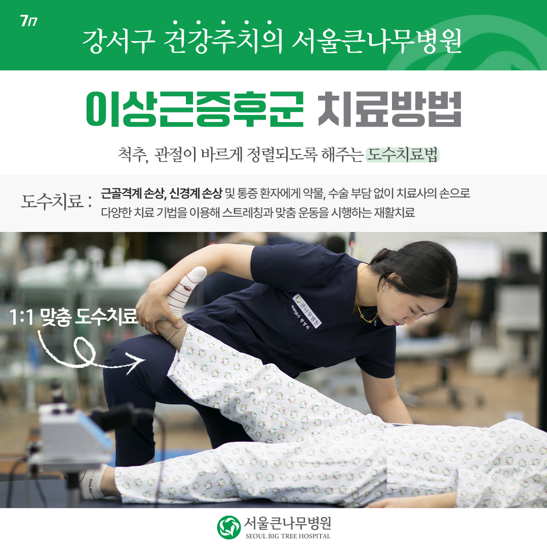 서울 강서구 서울큰나무병원 소식